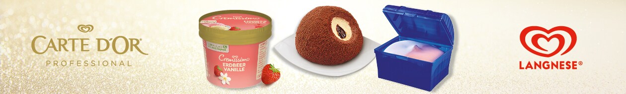 Fertige Eisdesserts von Langnese